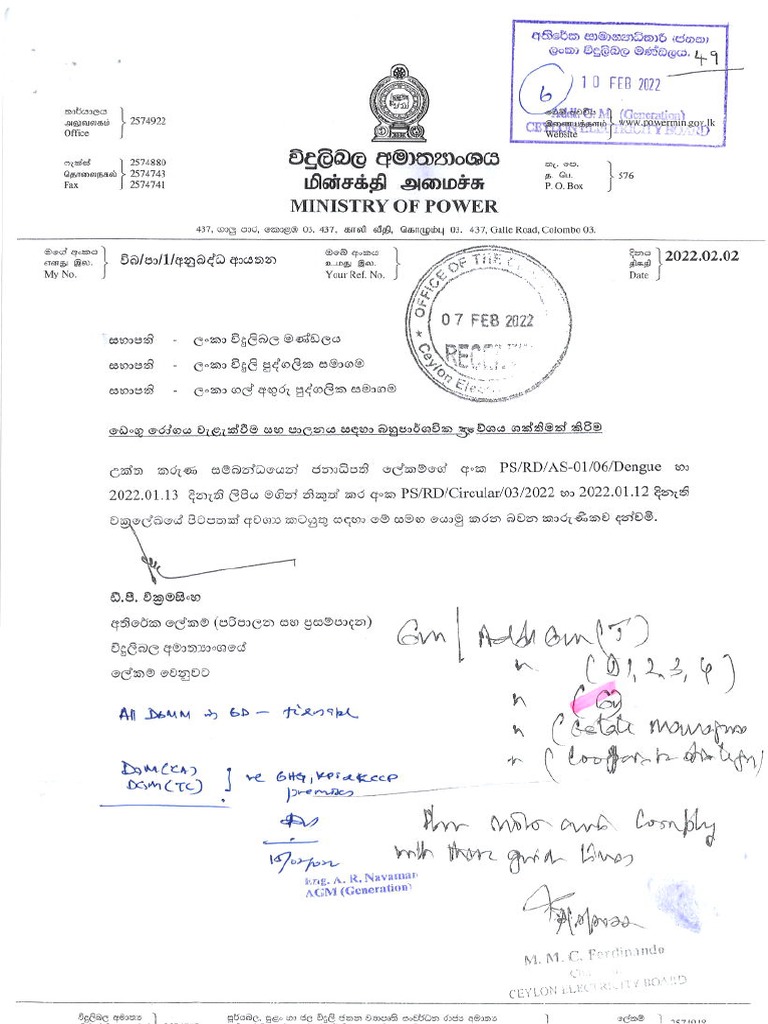 Dengu | PDF
