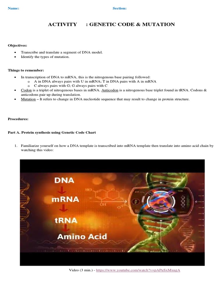 Activity 6 Genetic Code and Mutation | PDF
