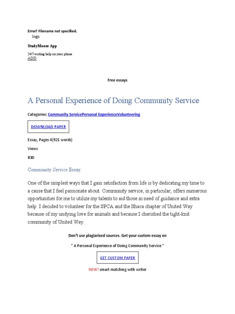 Community Service | PDF | Essays