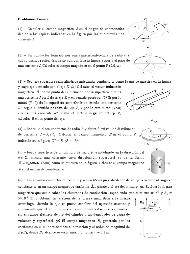 Problemas Tema 2 | PDF | Imán | Campo magnético