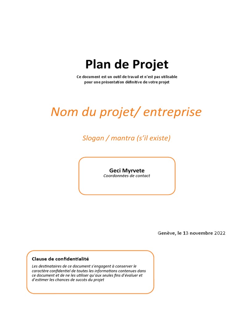 NS1 Plan de Projet | PDF | Business | Commercialisation
