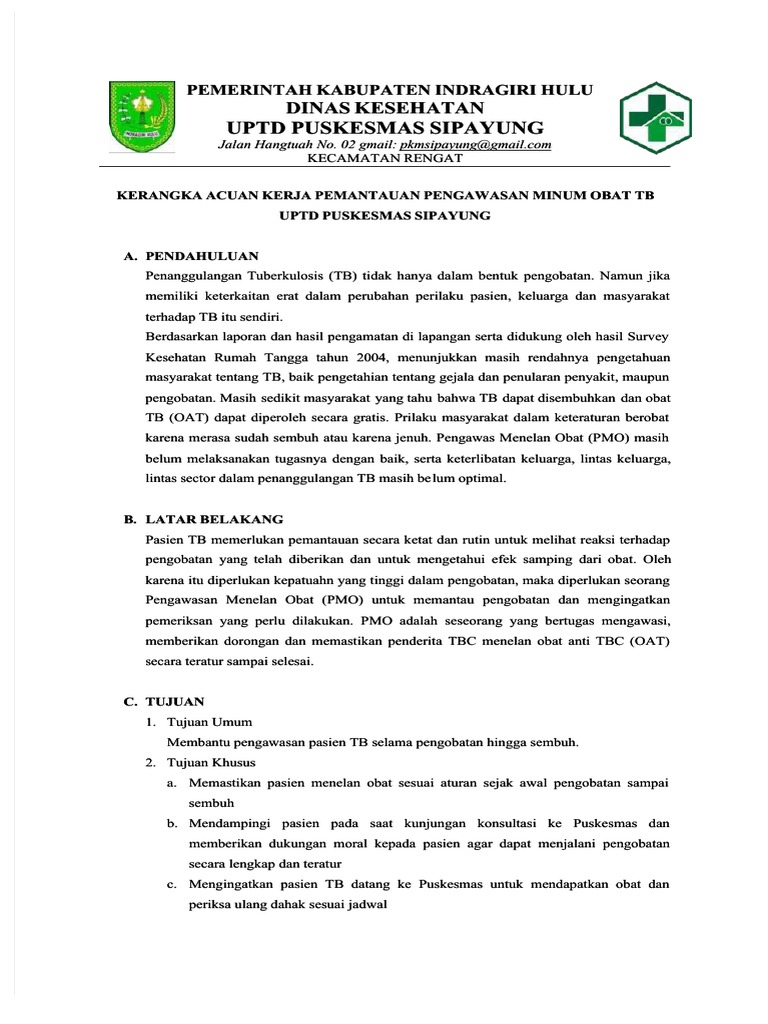 PDF Kak Pengawasan Minum Obat TB - Compress | PDF