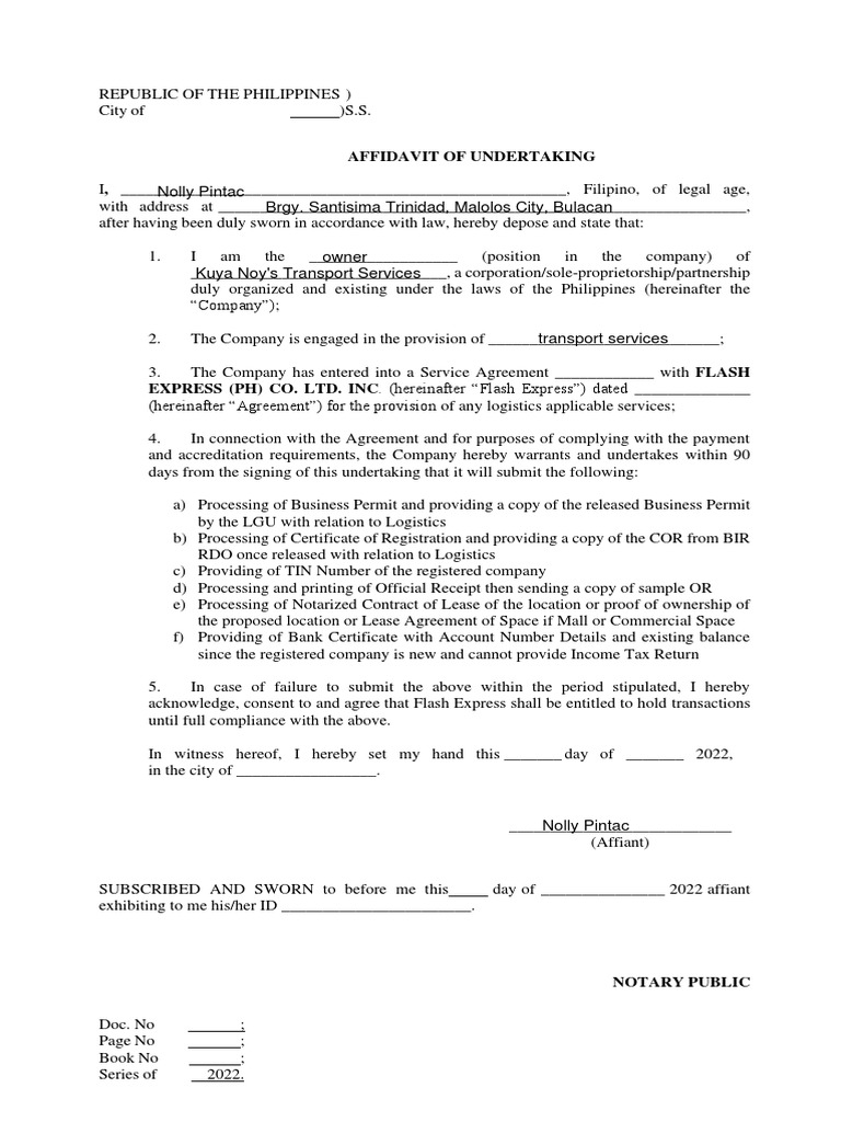 AFFIDAVIT | Download Free PDF | Affidavit | Notary Public