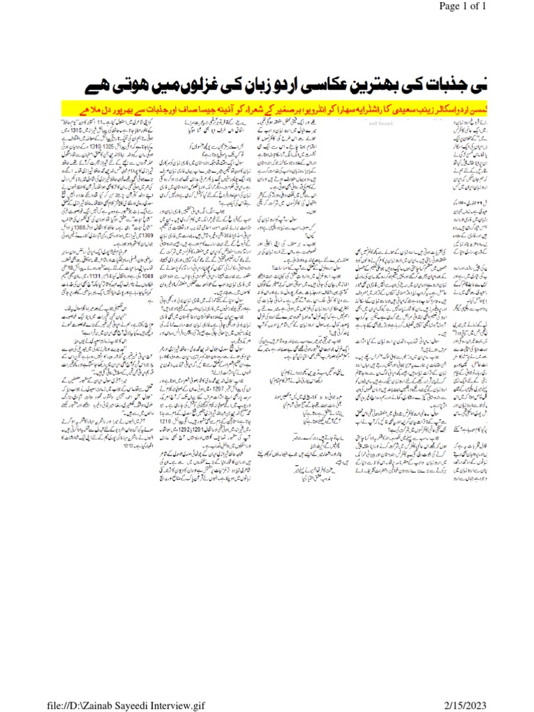 Zainab Sayeedi Interview | PDF