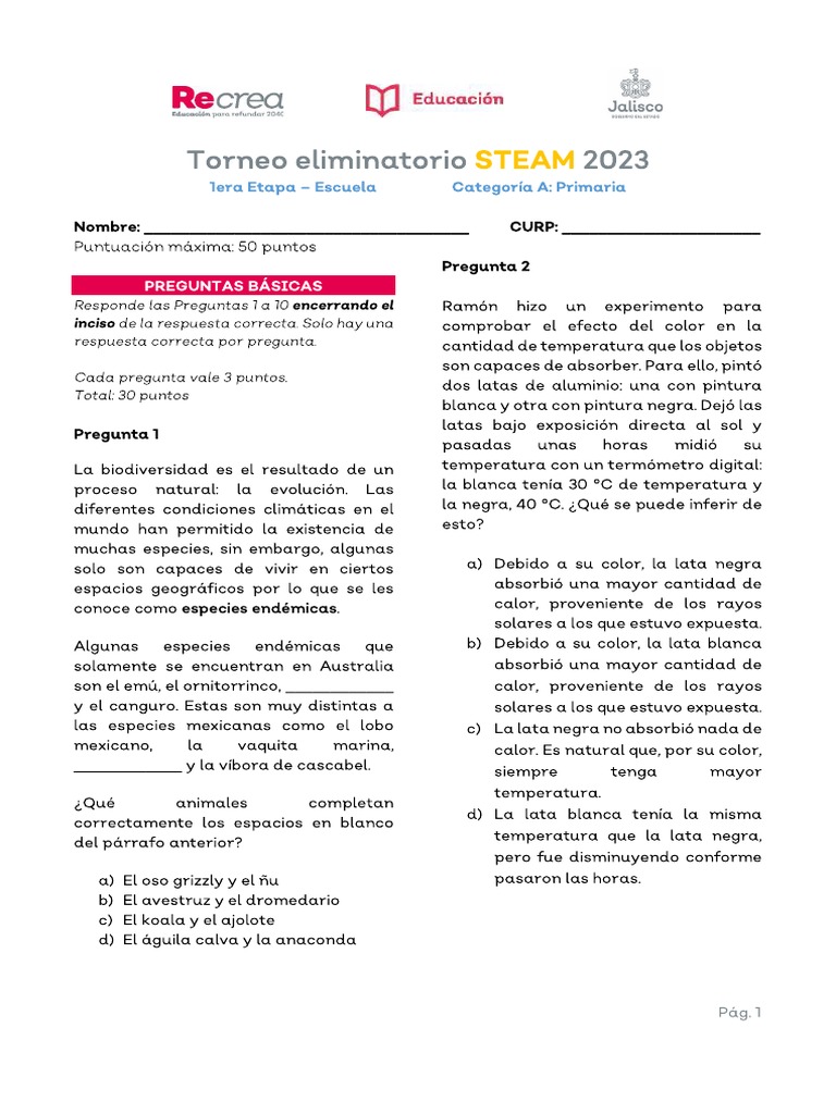 Steam | PDF