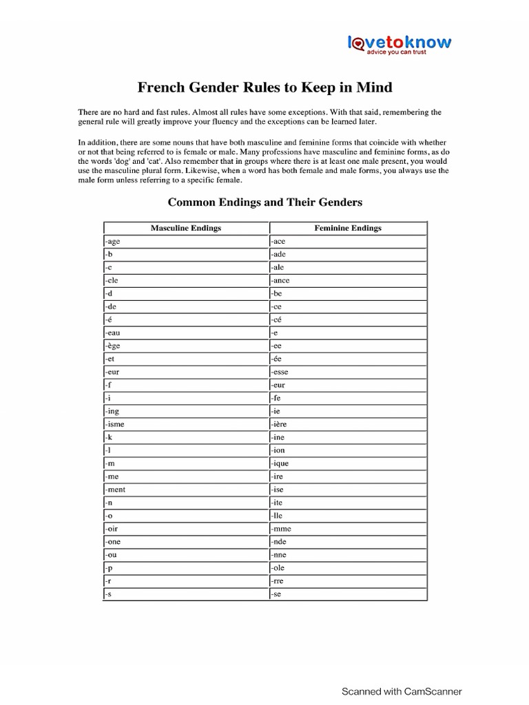 2536 French Gender Rules | PDF