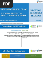Panduan SATU SEHAT SDMK Dan SISDMK Untuk Kelengkapan Data MPP Digital | PDF