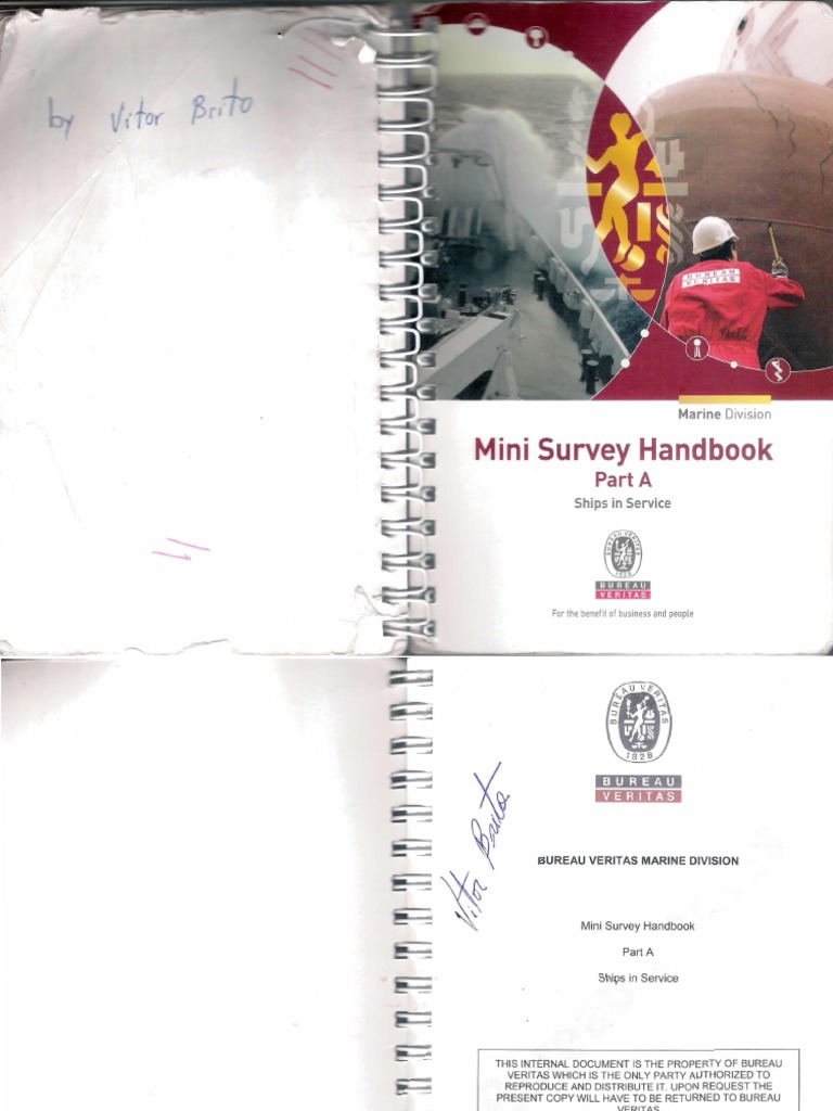 Bureau Veritas - Mini Survey Handbook | PDF