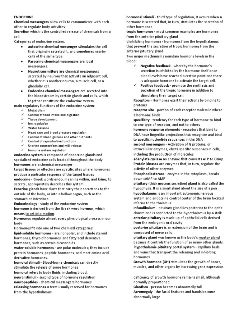 Endocrine | PDF | Hormone | Endocrine System