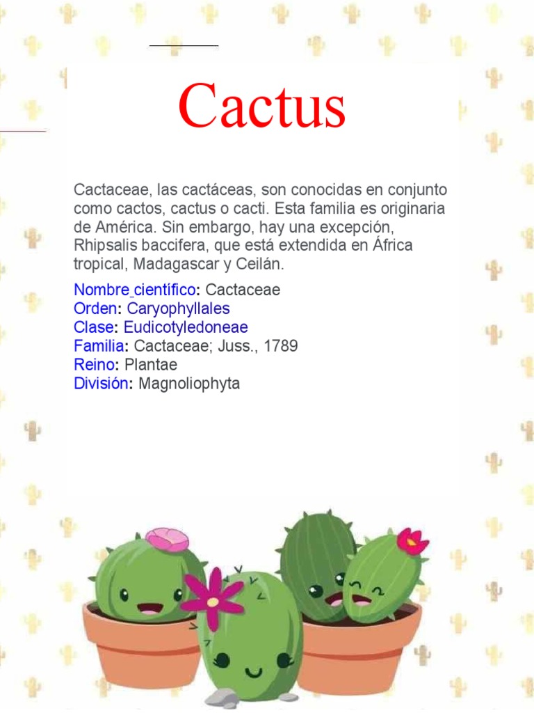 Cactus | PDF | Plantas