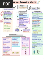 Class 12 Comp. Biology Mindmaps by Rakshita Singh | PDF