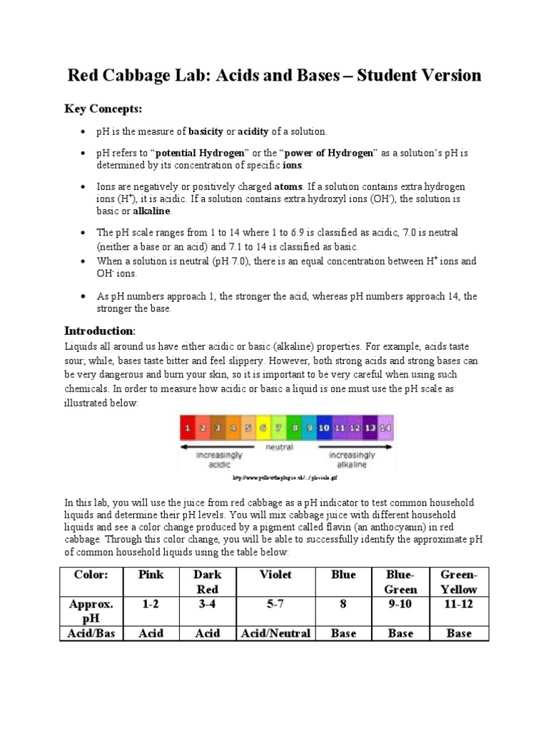 PH Lab - Student Version | PDF | Ph | Acid