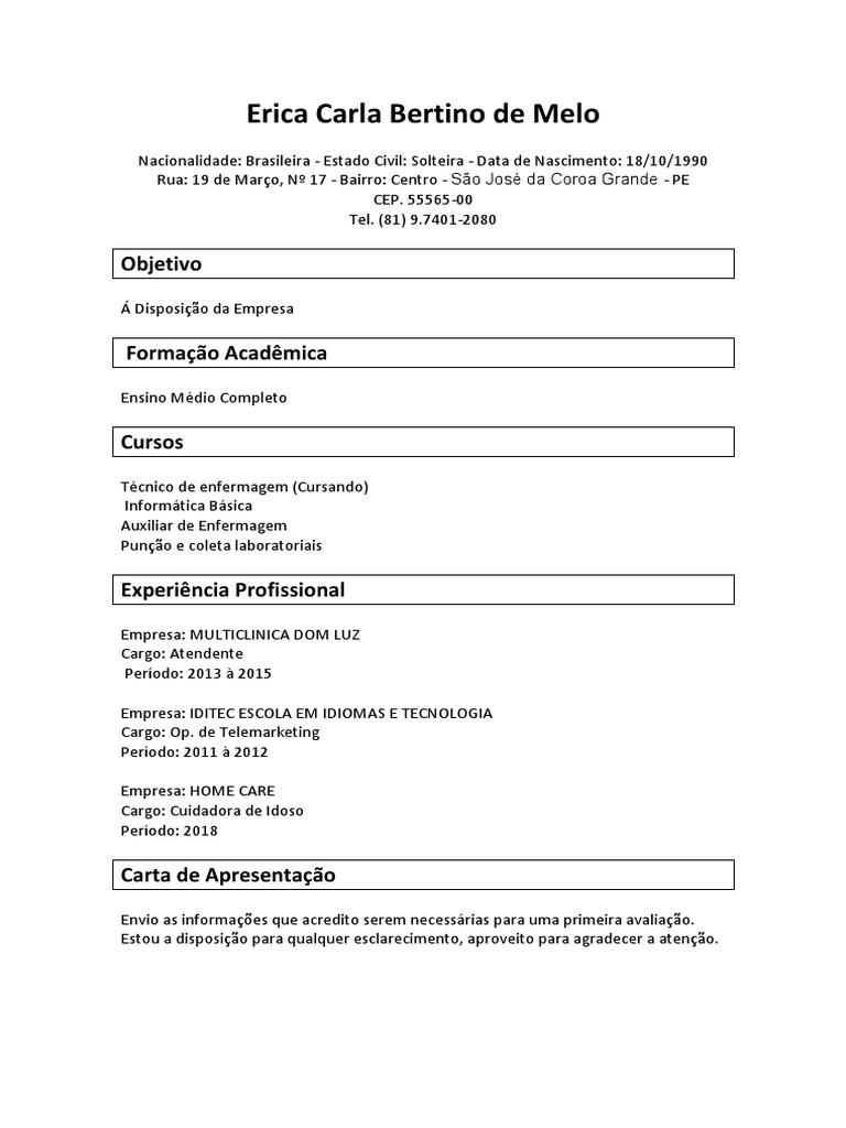 CV Erica Carla SJCG | PDF