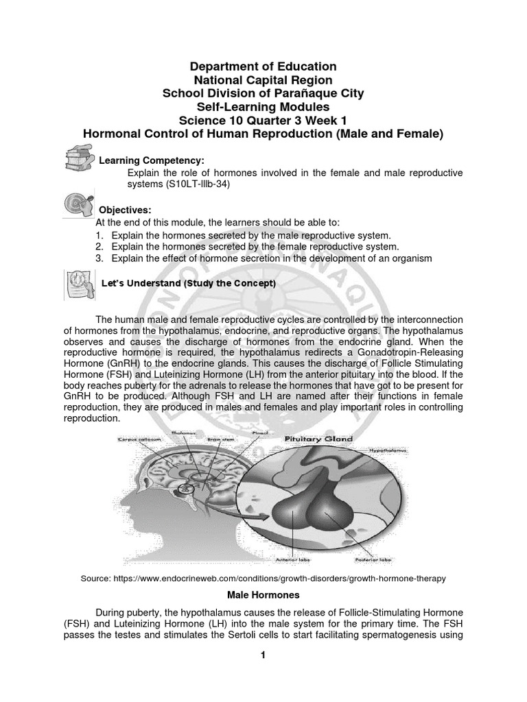 Complete - Quarter 3 - Science 10 - Week 1 - 8 | PDF | Menstrual Cycle | Luteinizing Hormone