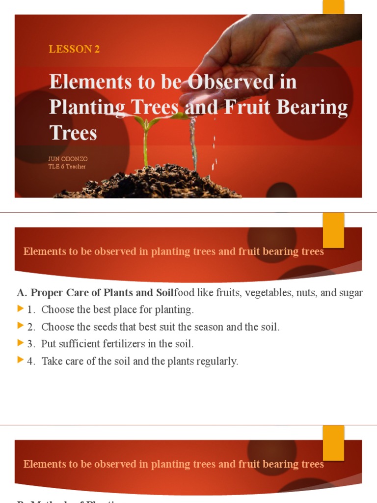 Agri Lesson 2 Elements To Be Observed in Planting Trees and Fruit ...