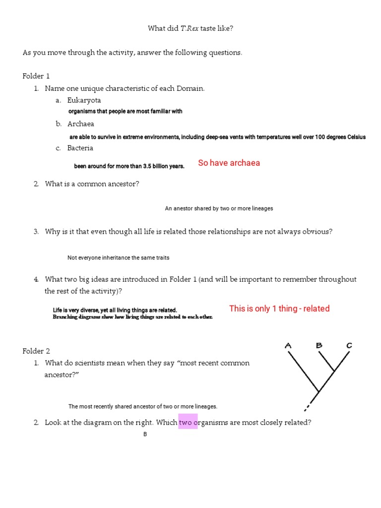 Bracen Benson - What Did T. Rex Taste Like | PDF