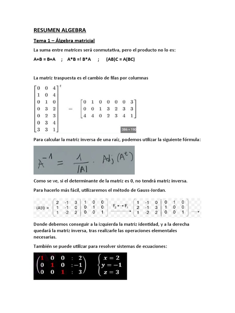 Resumen Álgebra | PDF | Ciencia y matemáticas | Informática