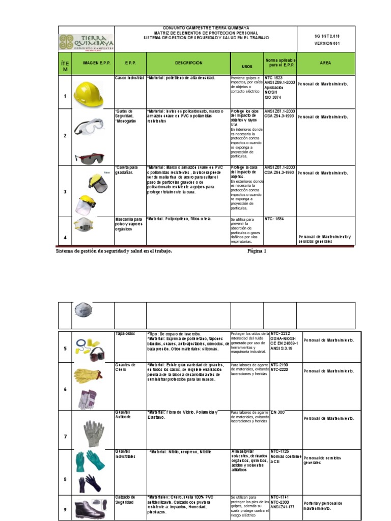 Matriz EPP | PDF | Guante | Casco