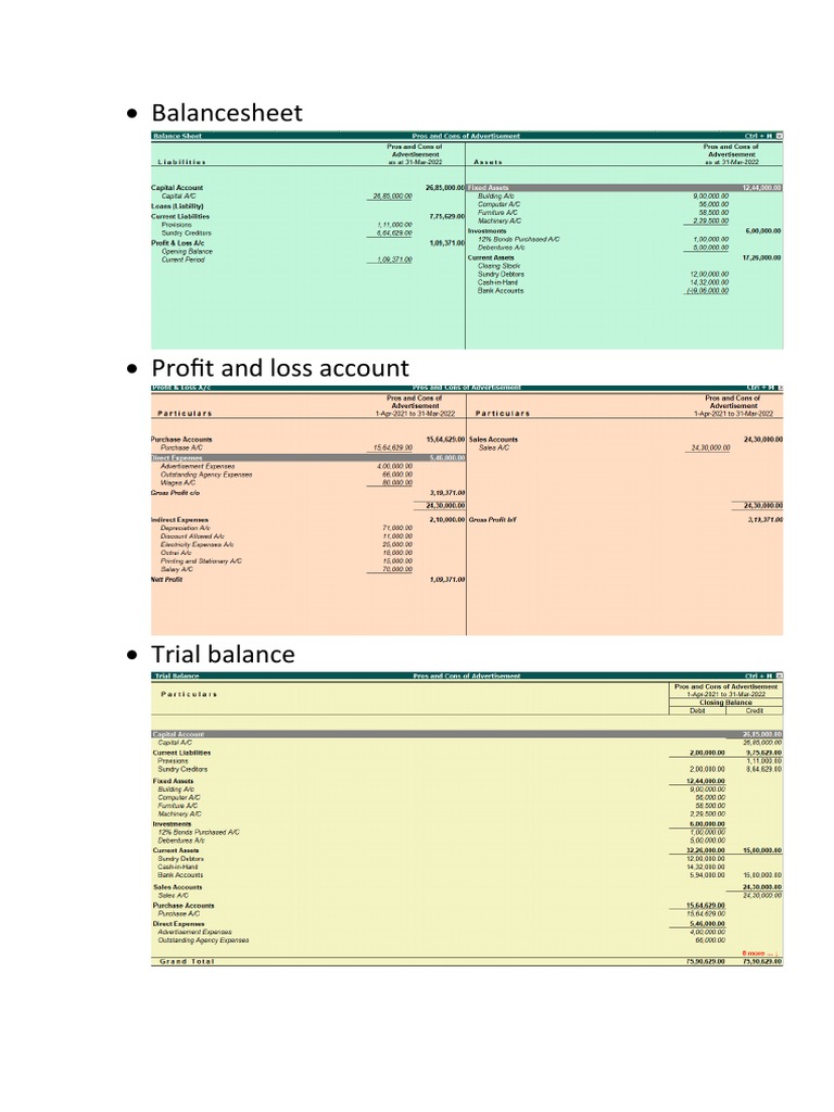 Tally Screen Shot | PDF