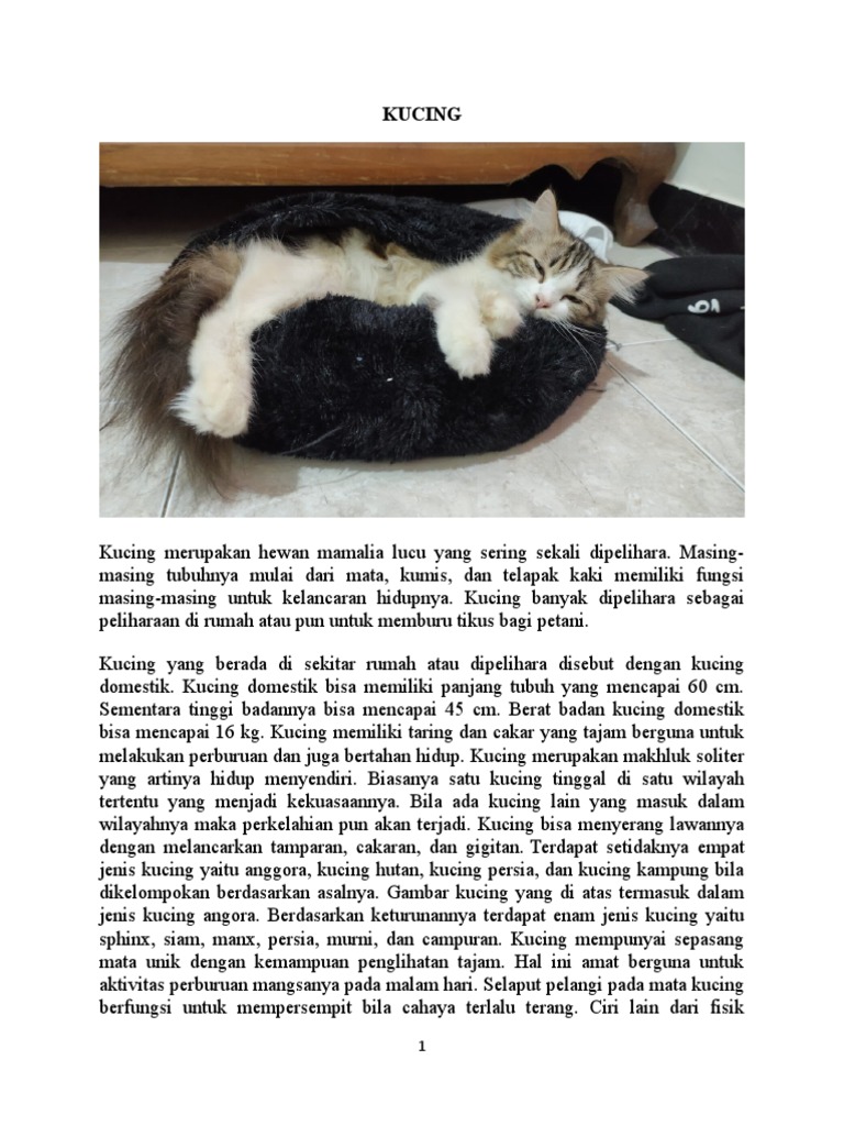 Fakta Menarik Tentang Kucing Domestik | PDF