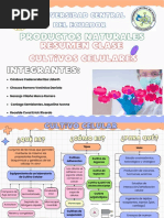 Phylum Arthropoda - Infografía | PDF | Insectos | Araña