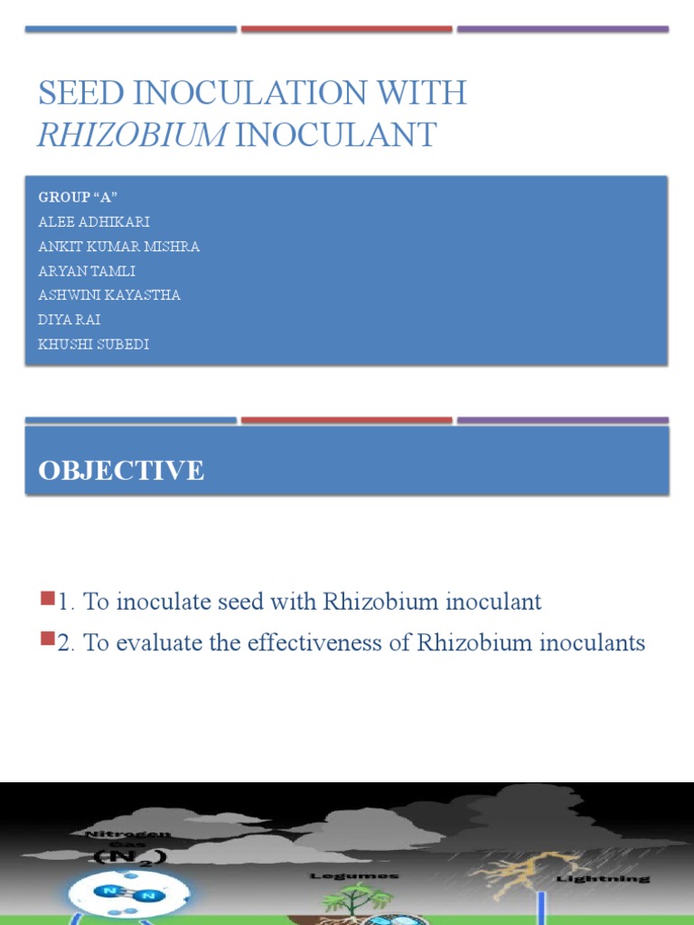 Seed Inoculation With Rhizobium Inoculant | PDF | Horticulture | Chemistry
