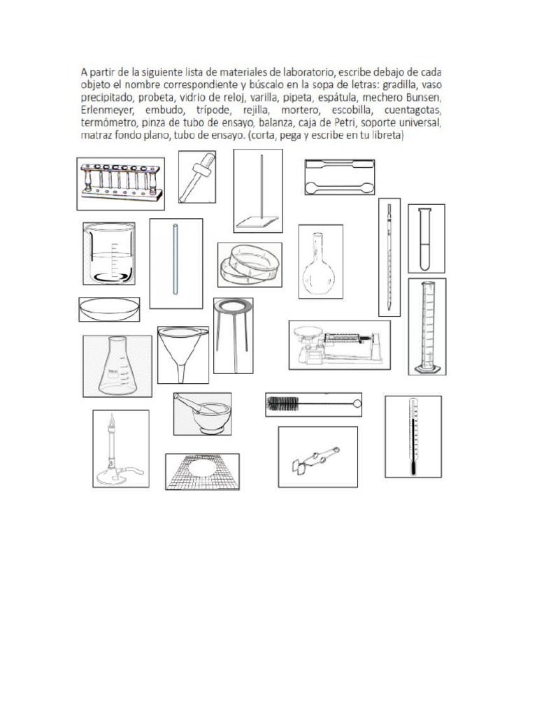 Instrumentos de Laboratorio | PDF