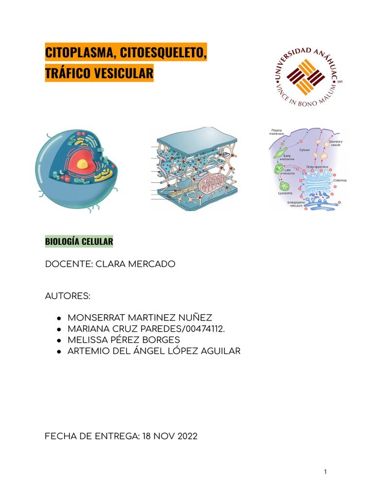 Biología Celular: Citoplasma y Más | PDF | Citoplasma | Biología Celular)