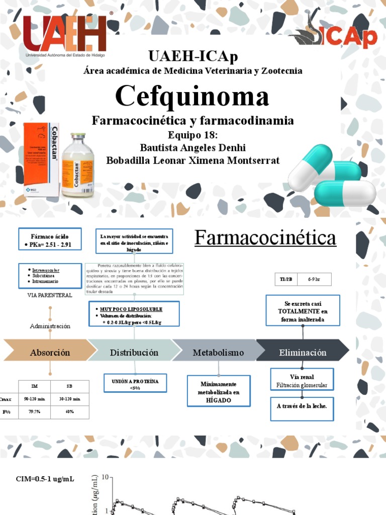 Cefquinoma - Farmacología 6°1 | PDF | Farmacología | Productos de la ...