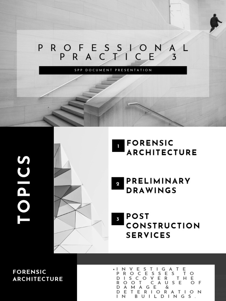 Prof Prac 3 - SPP Documents | PDF