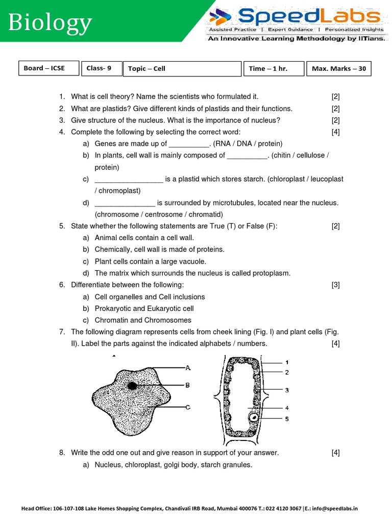 Cell - The Unit of Life - Others - ICSE 9B - Cells - Test | PDF | Cell ...