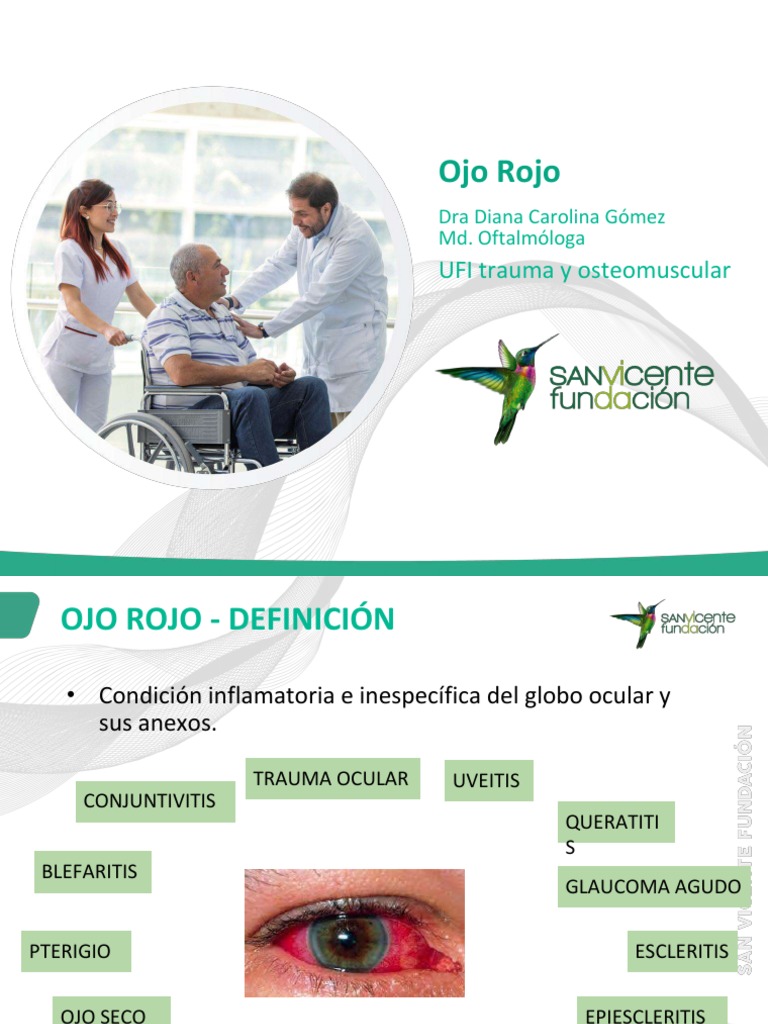 2 Ojo Rojo | PDF | Ojo humano | Visión