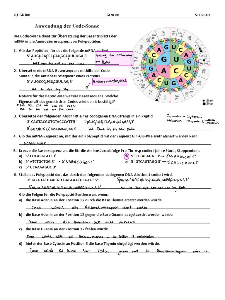 AB - Diagnoseaufgabe Code-Sonne - Lea Krume | PDF