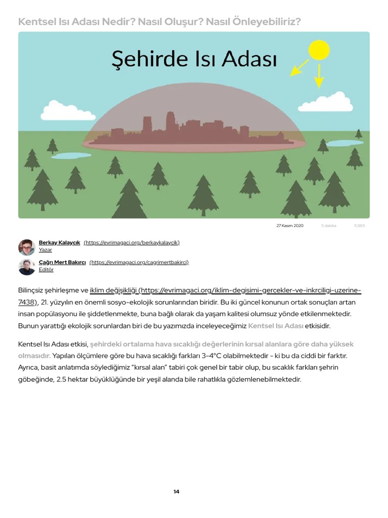 Kentsel Isı Adası Nedir - Nasıl Oluşur - Nasıl Önleyebiliriz - Evrim ...