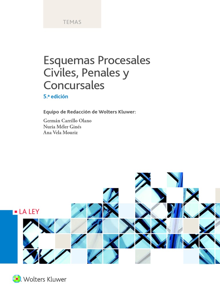 Libro Esquemas | PDF | Apelación | Sentencia (ley)