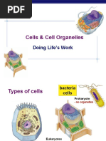 Cell Structure - Class 9th Grade Biology Science Project Free PDF ...