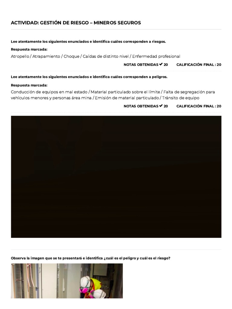 Gestion Del Riesgo - Codelco - Elearning | PDF