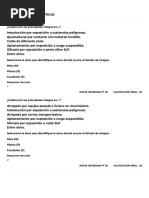 Estandares SSO - Codelco - Elearning | PDF