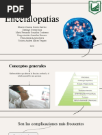 Modelos y Teorías de Enfermería - Lydia Hall | PDF | Enfermería | Medicina