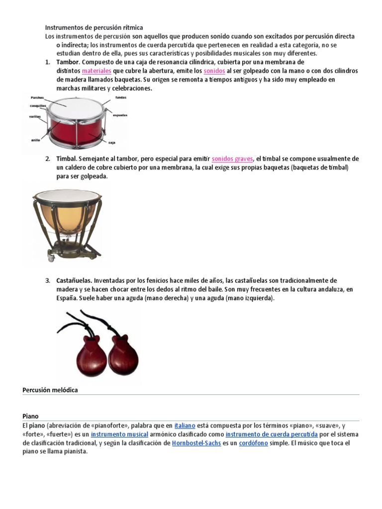 Instrumentos de Percusión Rítmica | PDF | Instrumentos de cuerda | Viola