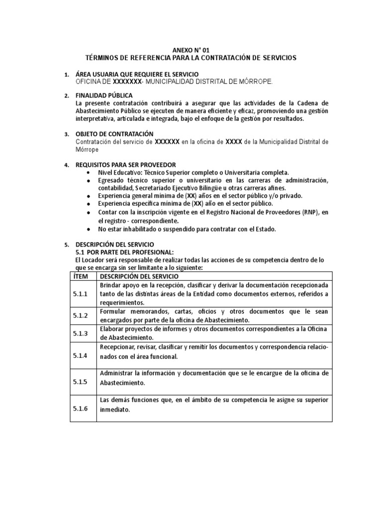 Tdr Formato | PDF