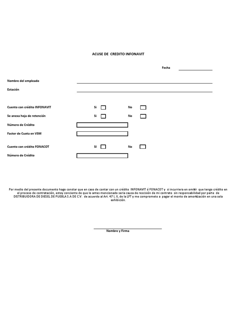 FORMATO INFONAVIT DIDIPSA | PDF