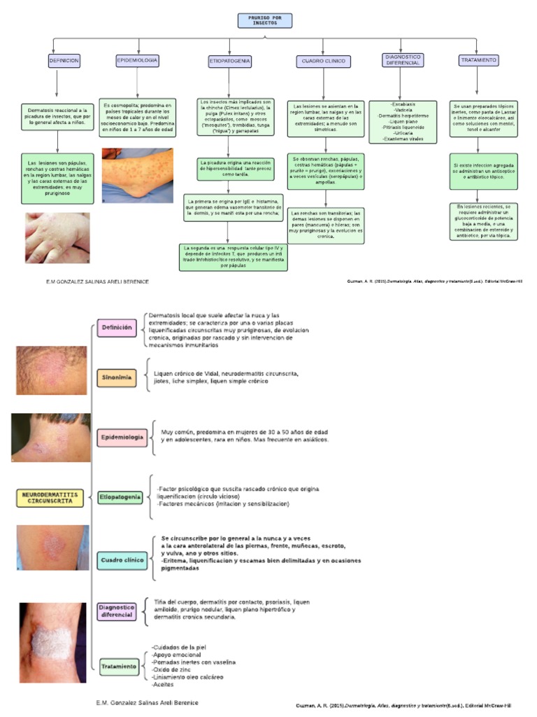 Prurigo Por Insectos y Neurodermatitis Circunscrita | PDF | Inmunología ...