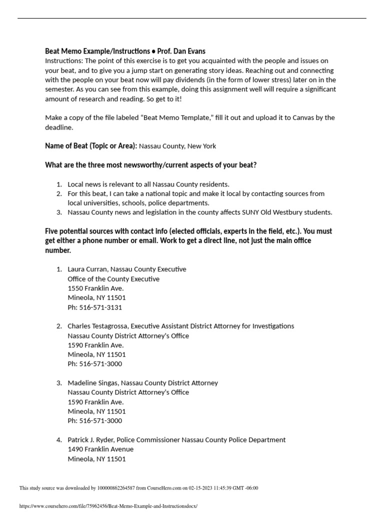 Beat Memo Example and Instructions | PDF