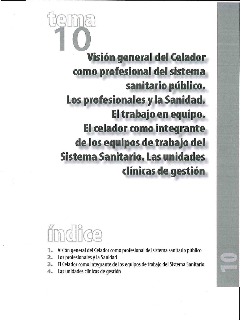Tema 10 Celadores | PDF