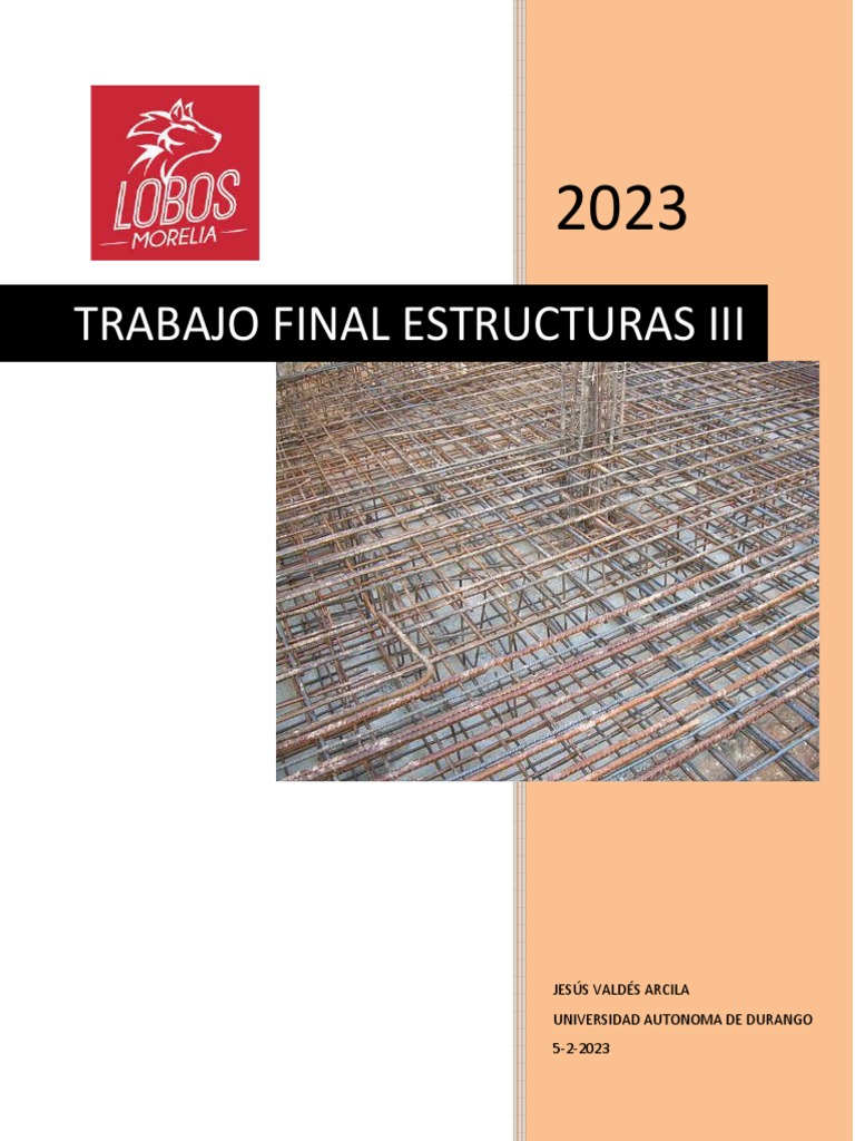 Trabajo Sobre El Analisis de Estructuras Iii | PDF | Viga (Estructura) | Álgebra lineal
