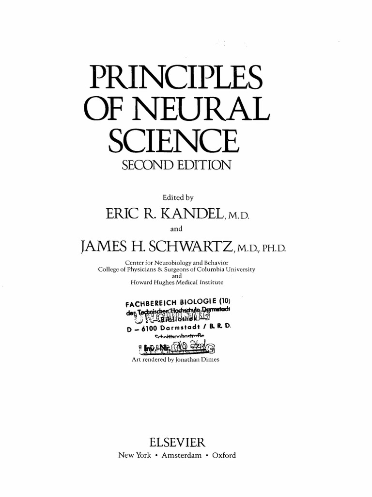 Neural Science Principles Guide | PDF | Chemical Synapse | Visual System