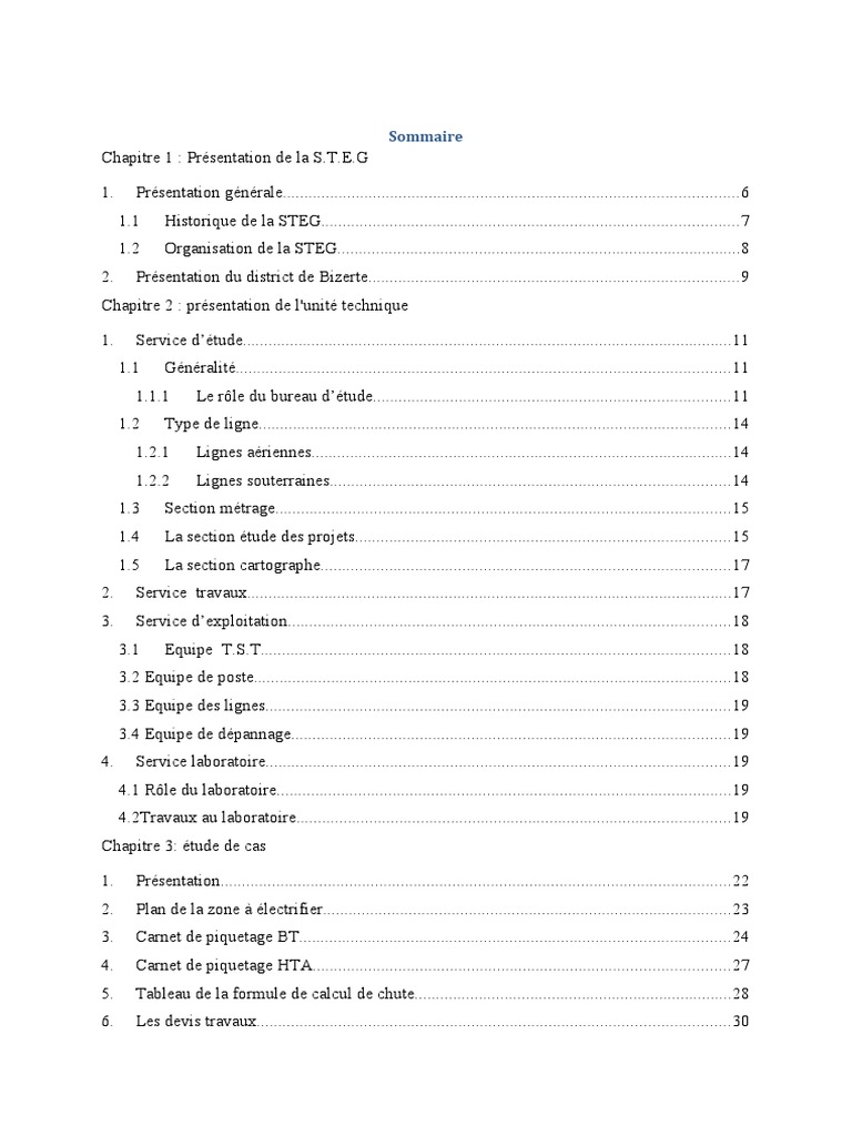 Présentation de la STEG et Bizerte | PDF | Réseau électrique | Électrotechnique