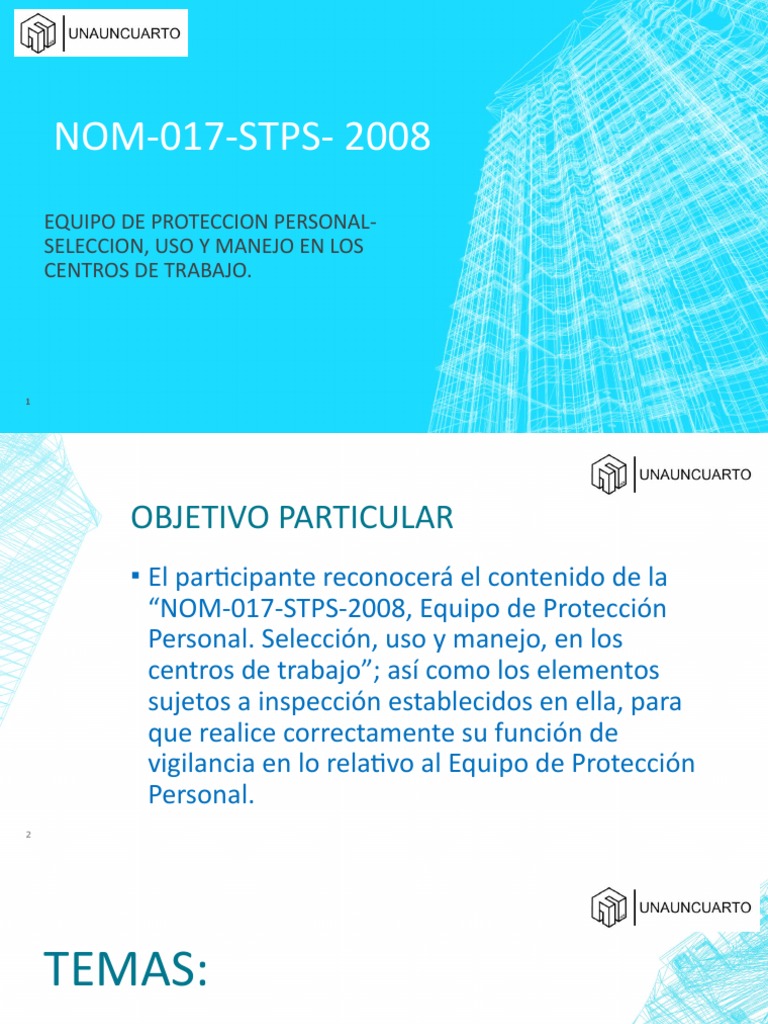 Nom-017-Stps - 2008 | PDF