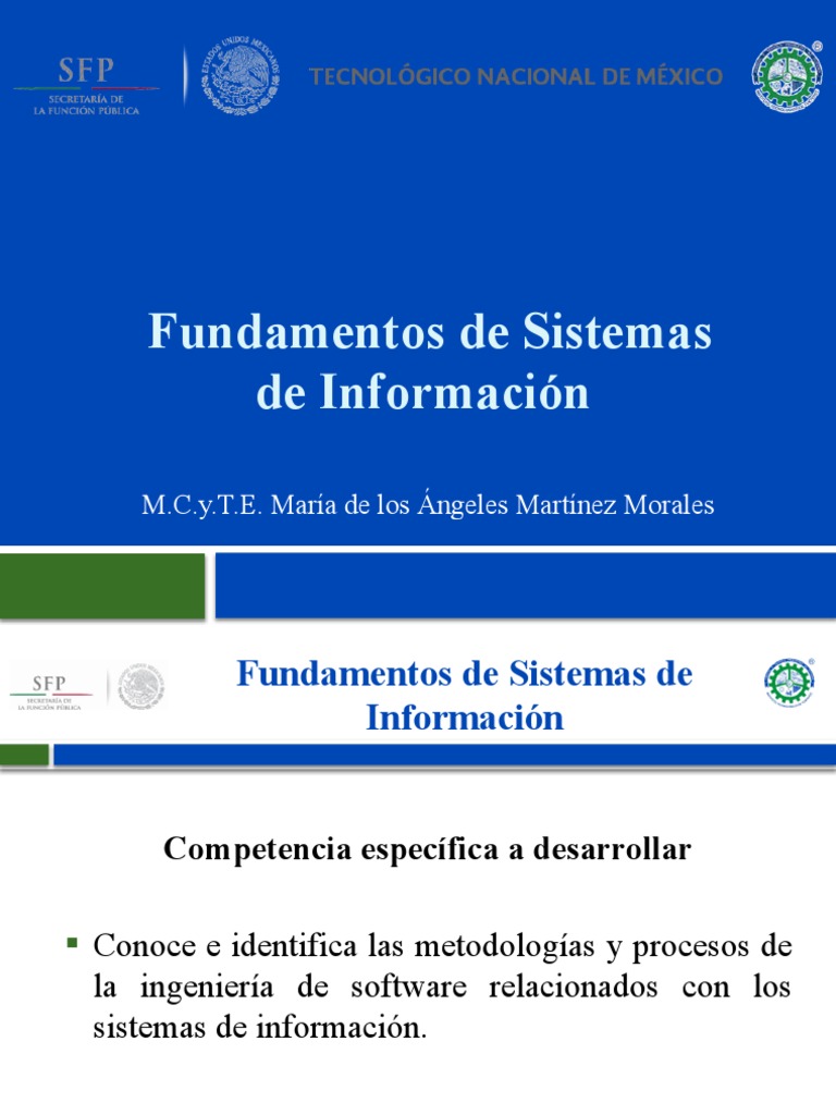 Unidad 1 - FSI | PDF | Sistema de soporte de decisiones | Internet